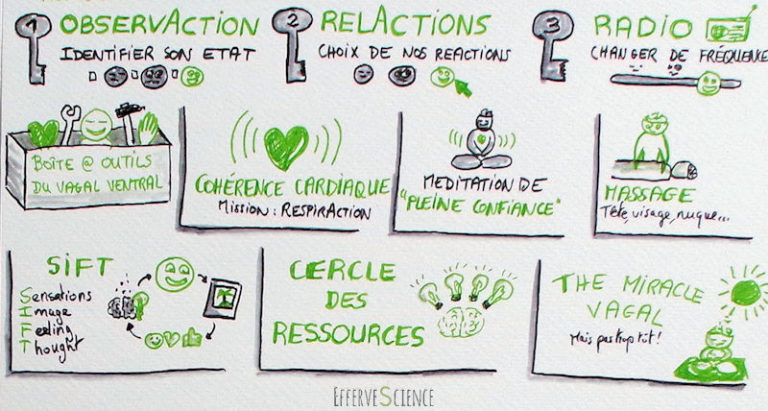 Le Je(u) de la Théorie PolyVagale | EfferveScience