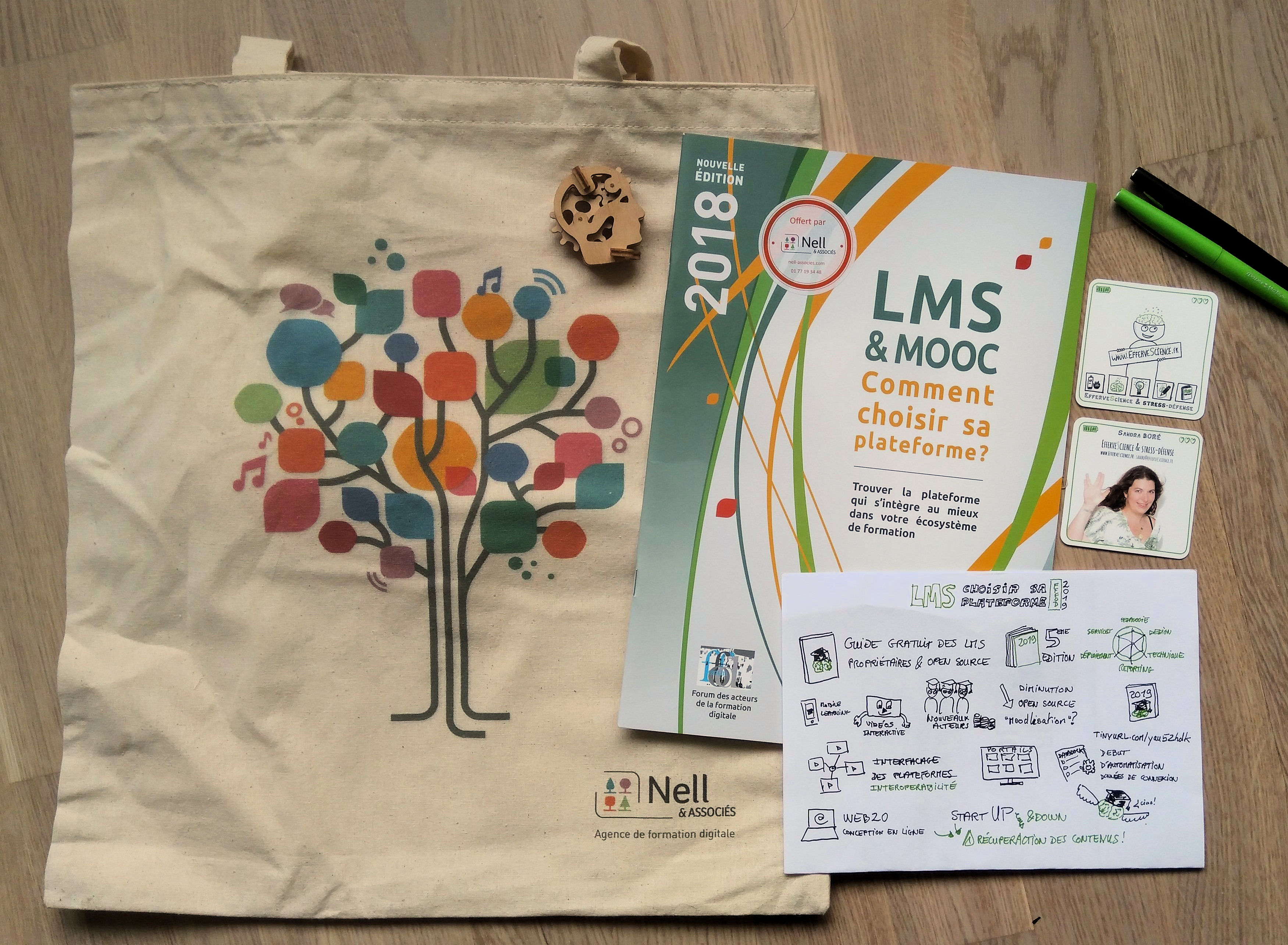 GuideLMSNellAssocies-SketchnoteEfferveScient | EfferveScience