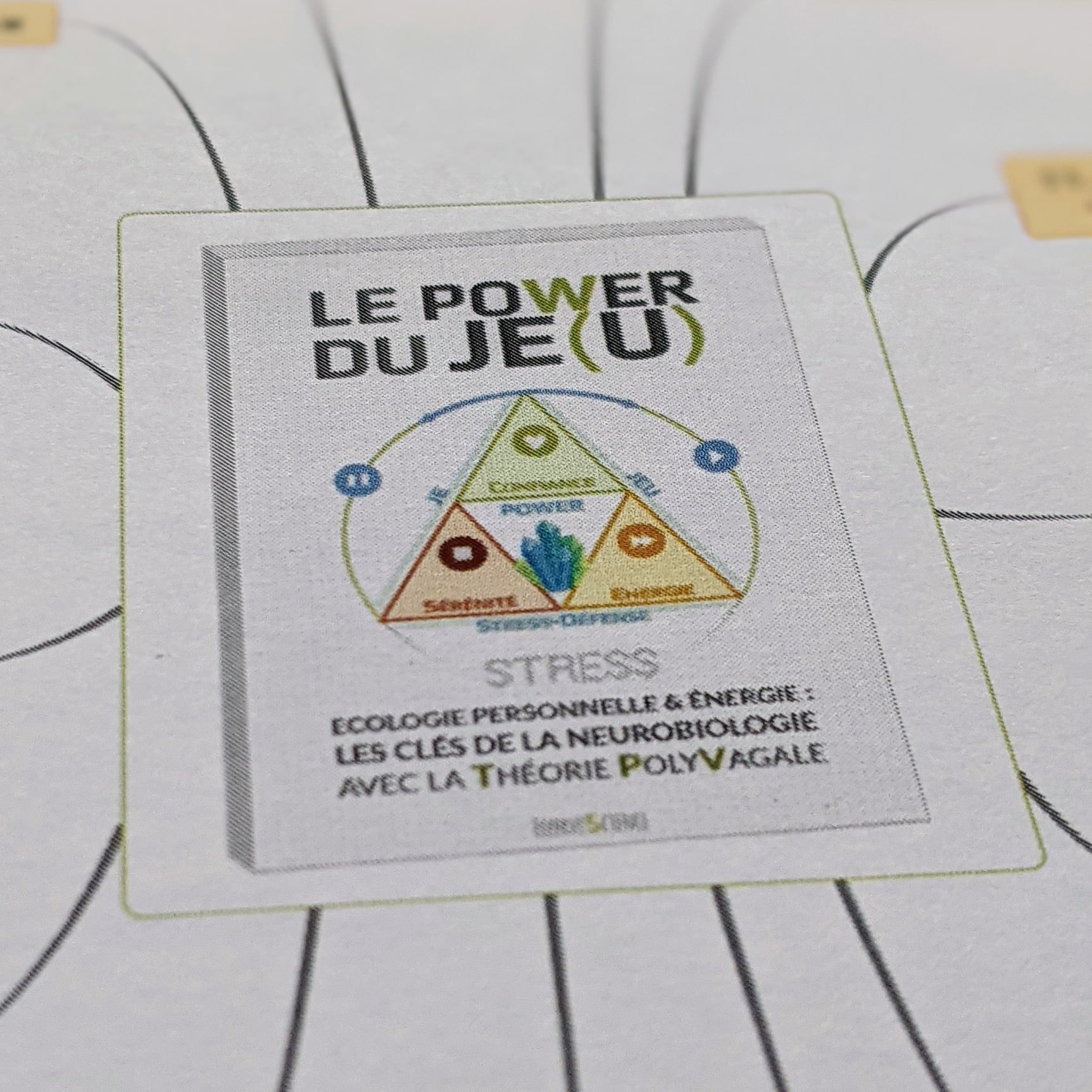 Le POWER de l'autoédition : les coulisses du livre | EfferveScience