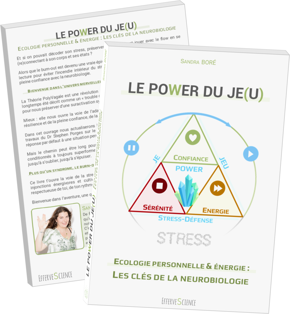 MockUpLivrePOWERduJEU-RectoVerso | EfferveScience