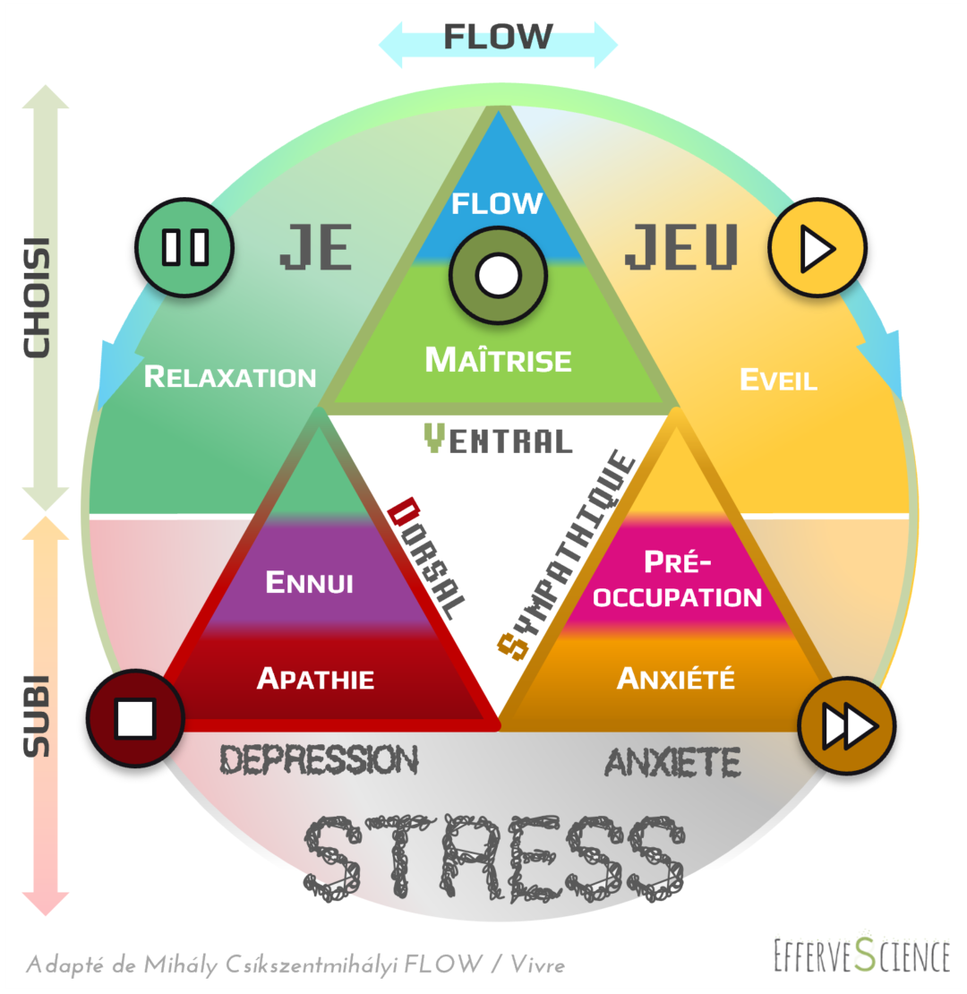 Le POWER du FLOW | EfferveScience