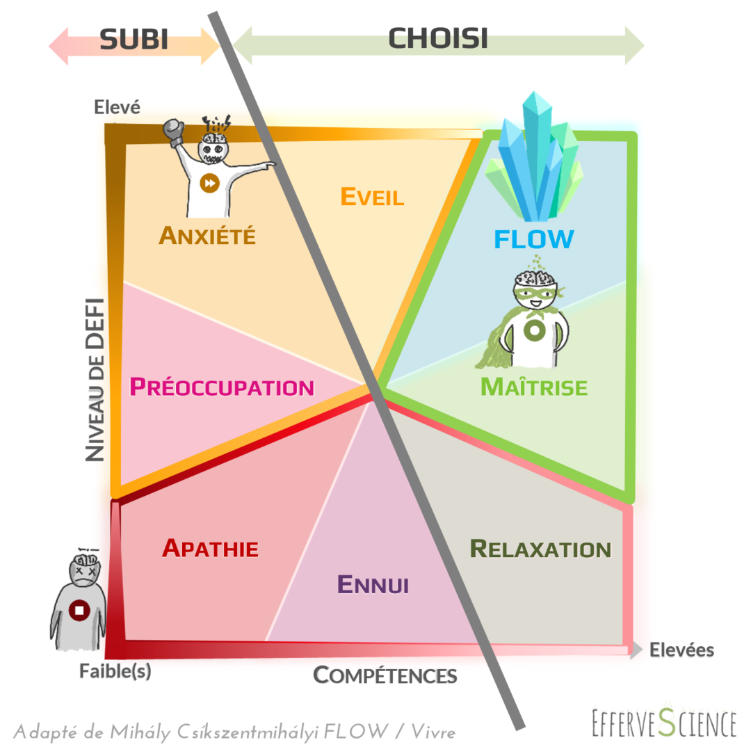 Le POWER du FLOW | EfferveScience