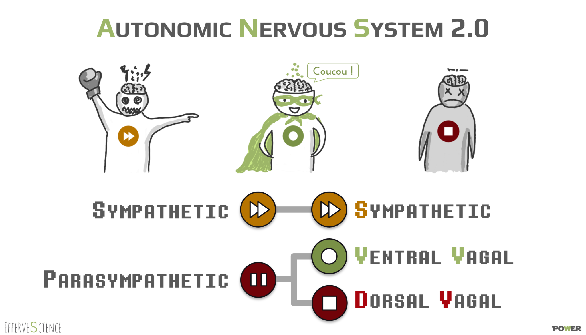 PolyVagal Theory: back to basics | EfferveScience