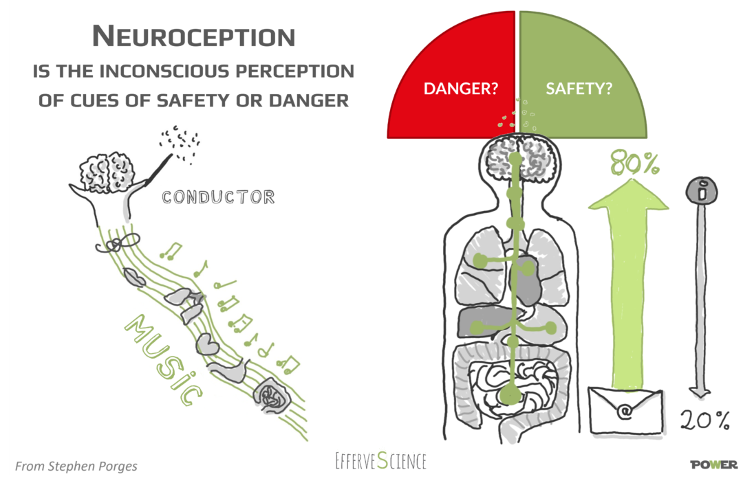PolyVagal Theory: back to basics | EfferveScience