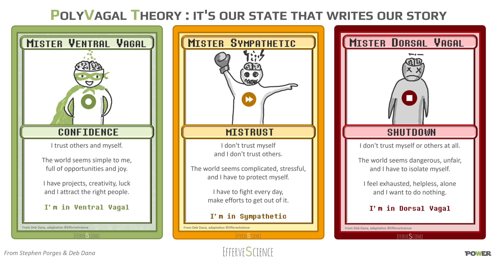 PolyVagal Theory: back to basics | EfferveScience