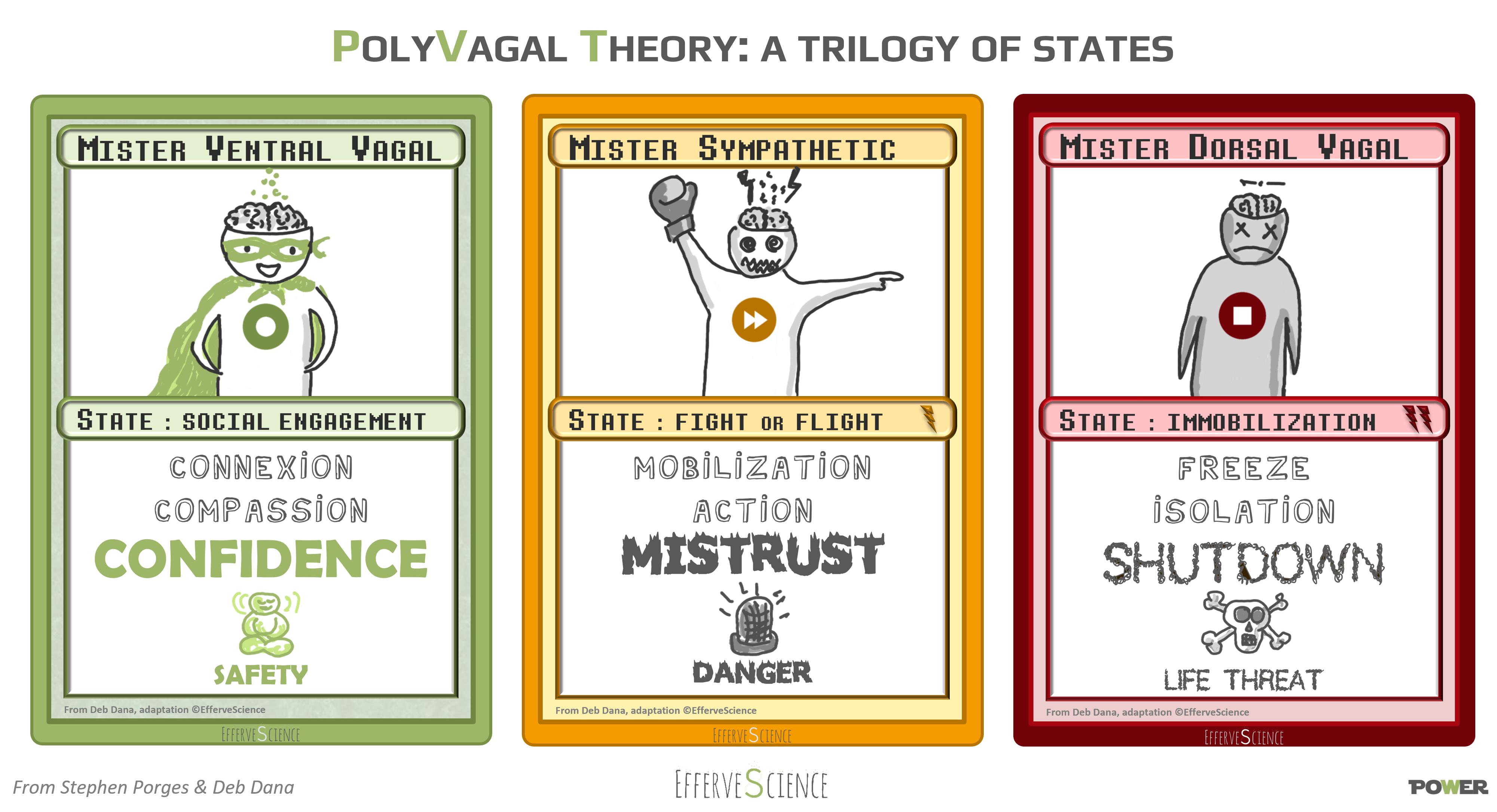 PolyVagalTheoryTrilogyOfStatesEfferveScience | EfferveScience