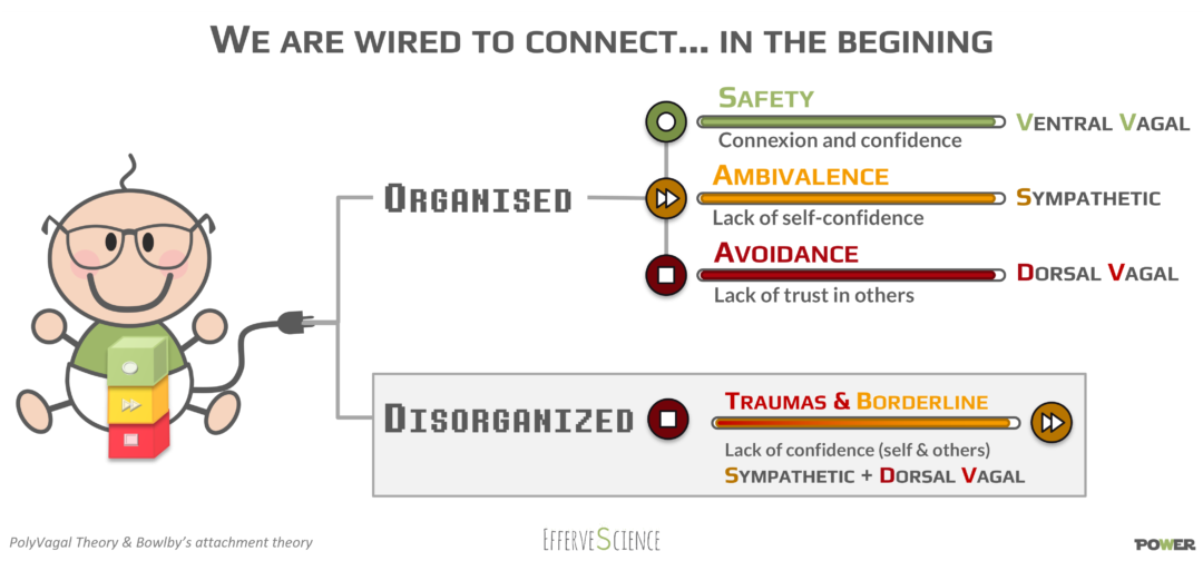 PolyVagal Theory: back to basics | EfferveScience