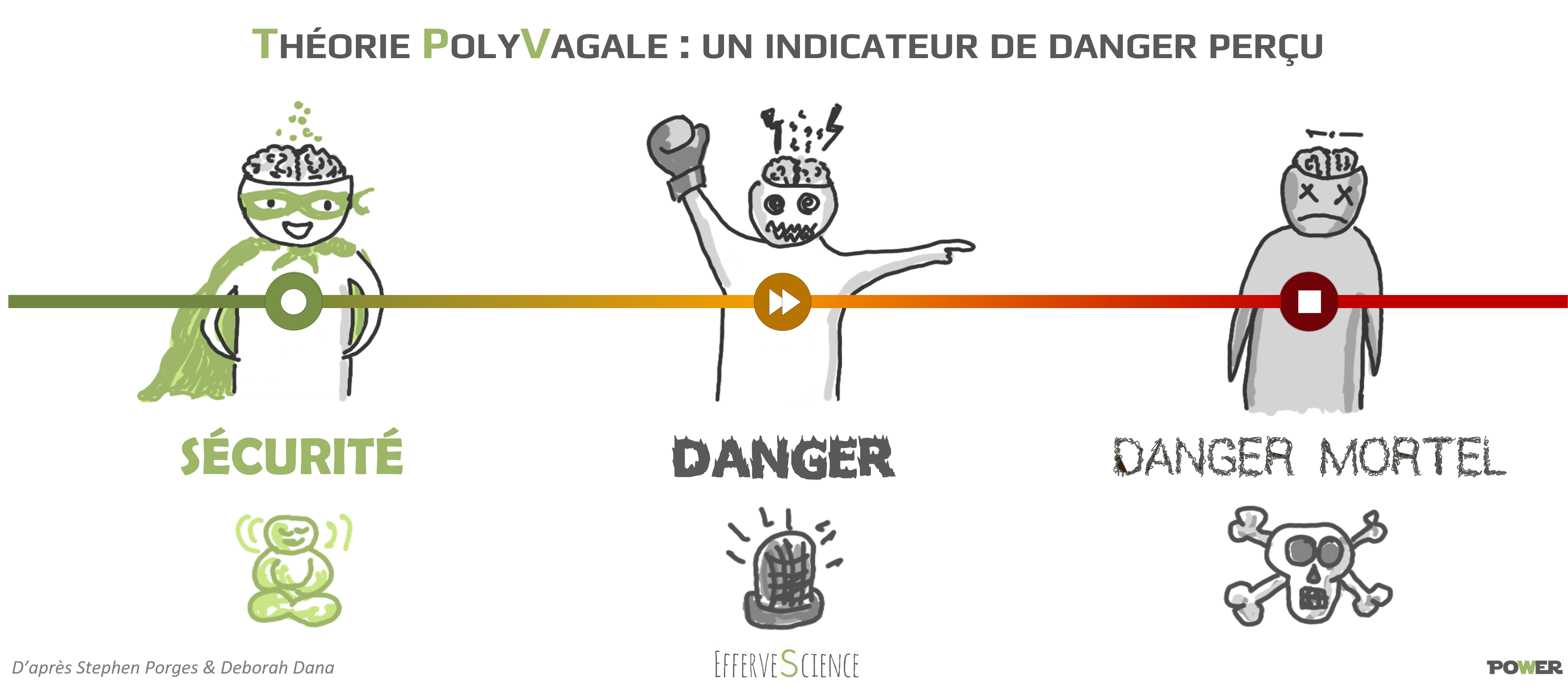 TheoriePolyvagaleIndicateurDangerPercuEfferveScience | EfferveScience