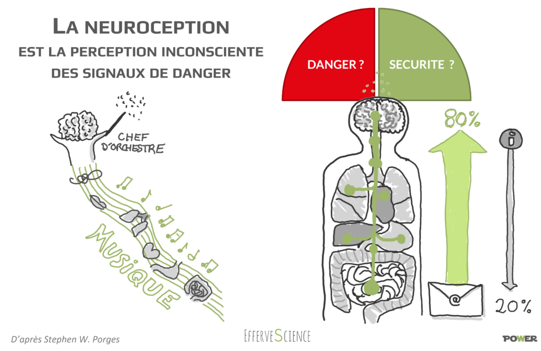 Théorie PolyVagale : les bases 2.0 | EfferveScience