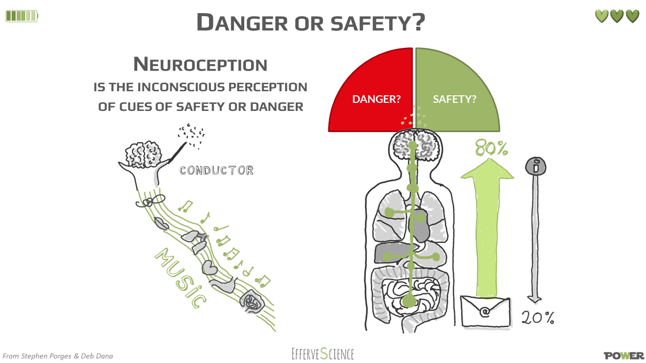 PolyVagal Theory illustrated | EfferveScience