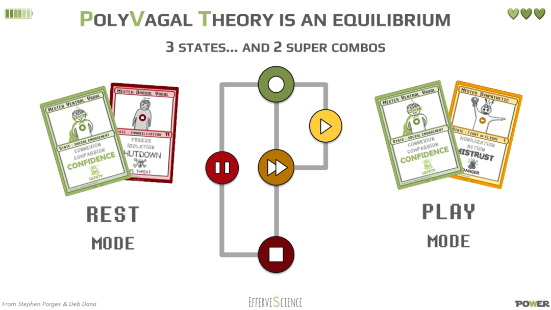 PolyVagal Theory illustrated | EfferveScience