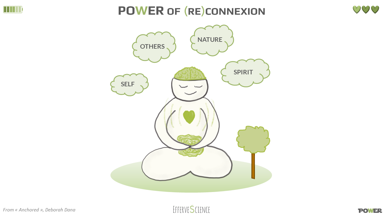 PolyVagal Theory illustrated | EfferveScience