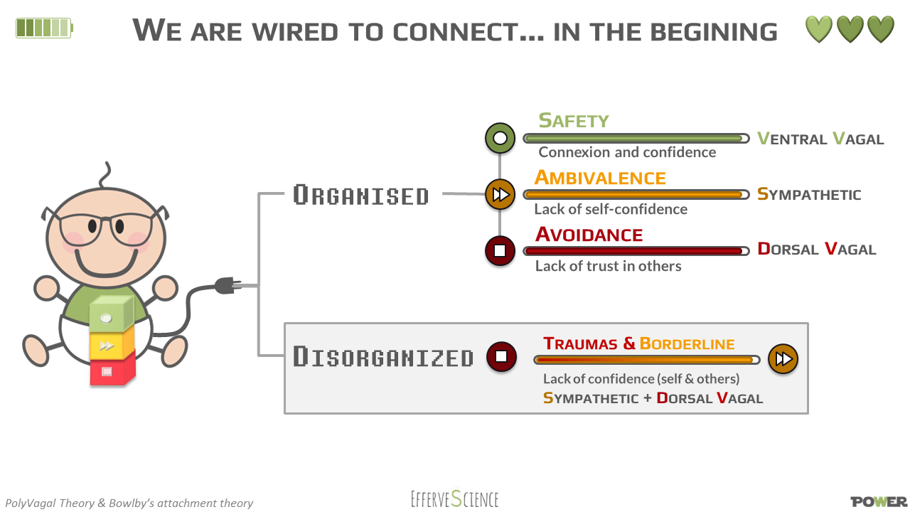 17-PolyVagalTheory-EfferveScience-WiredToConnect | EfferveScience