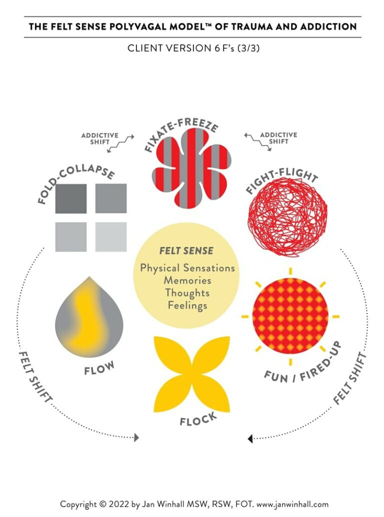 Applied PolyVagal Theory: The Felt Sense PolyVagal Model with Jan Winhall | EfferveScience
