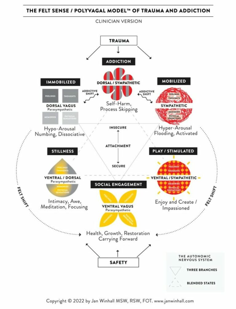 Applied PolyVagal Theory: The Felt Sense PolyVagal Model with Jan ...