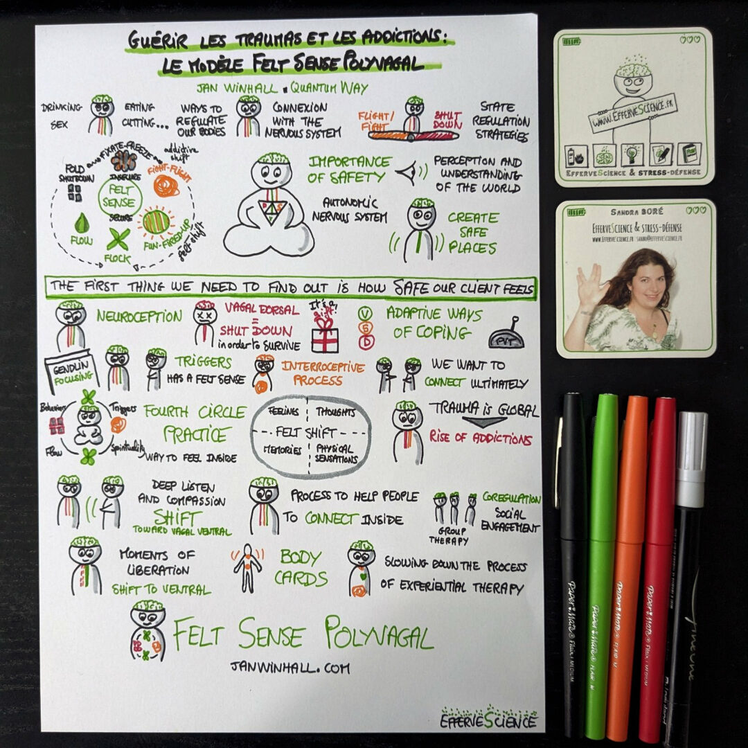 Applied PolyVagal Theory: The Felt Sense PolyVagal Model with Jan ...