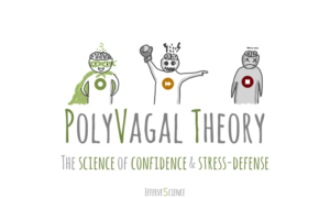 20230501-PolyVagalTheoryIllustrated | EfferveScience