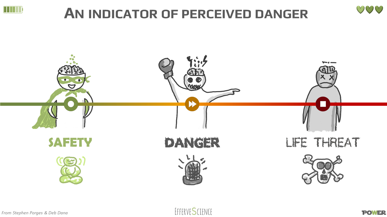 PolyVagal Theory illustrated | EfferveScience