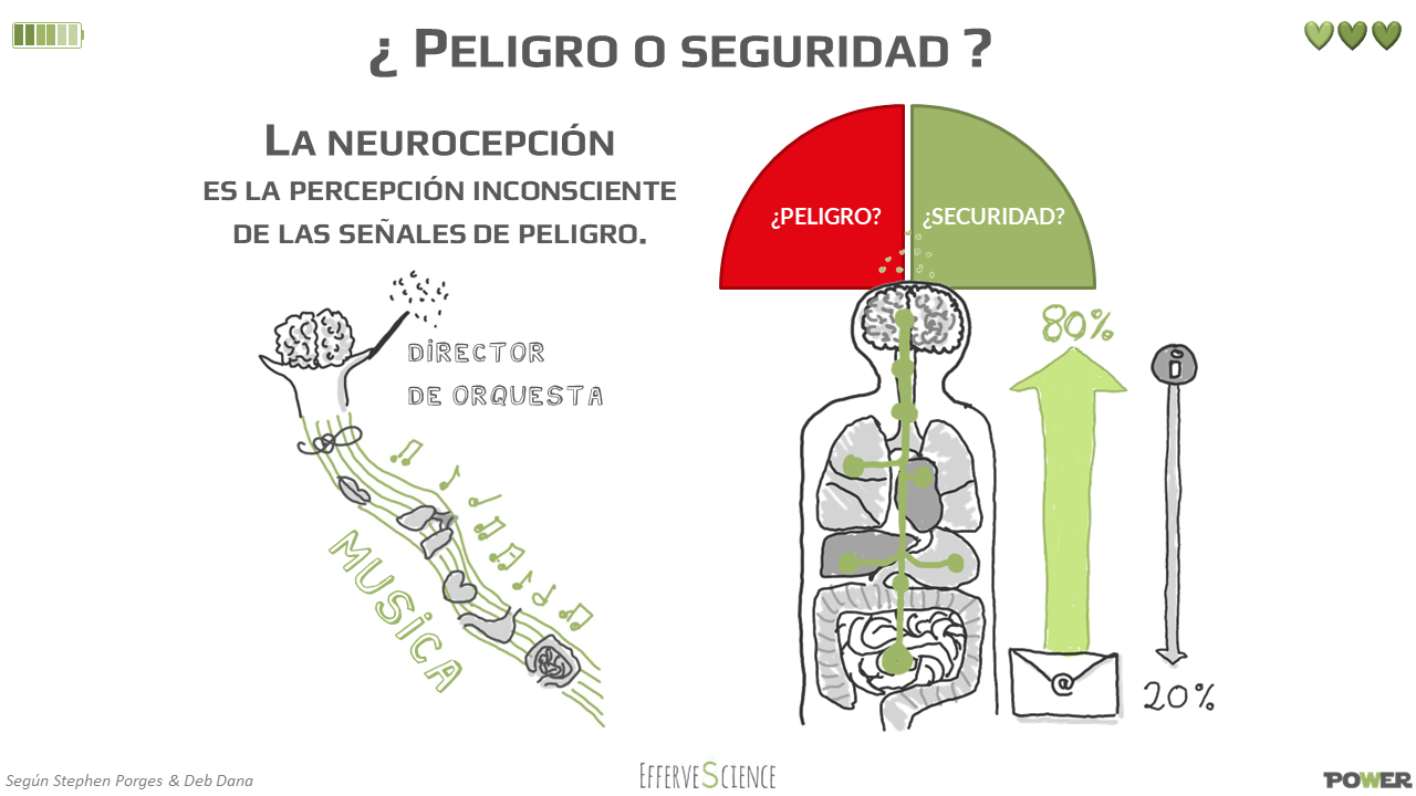Teoría PoliVagal illustrada | EfferveScience