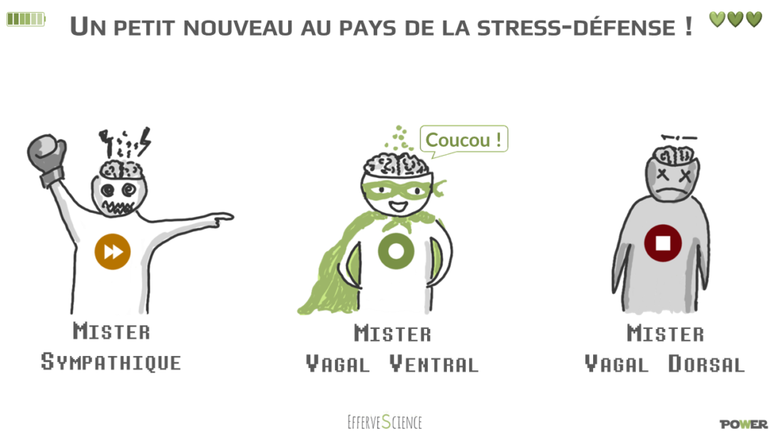 La Théorie PolyVagale illustrée | EfferveScience