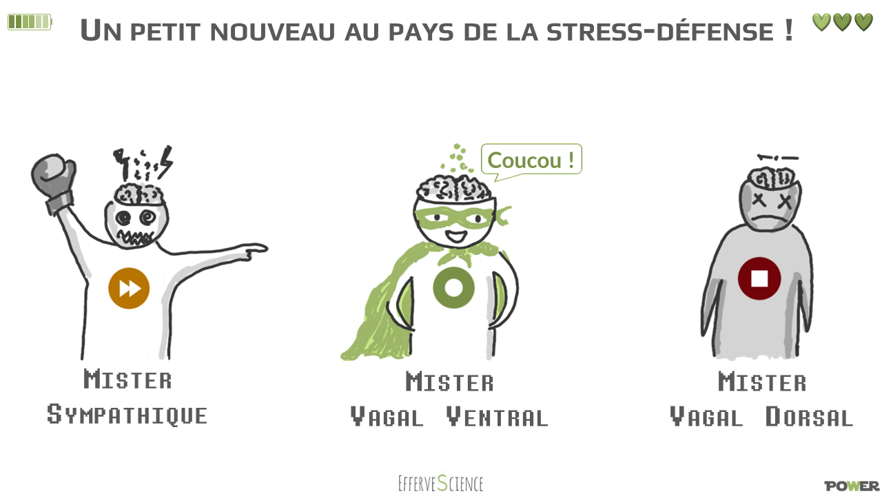 La Théorie PolyVagale illustrée | EfferveScience