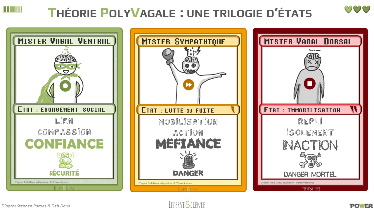 La Théorie PolyVagale illustrée | EfferveScience