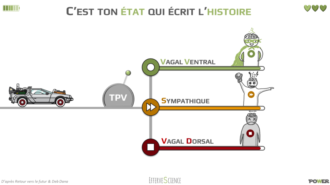 La Théorie PolyVagale illustrée | EfferveScience