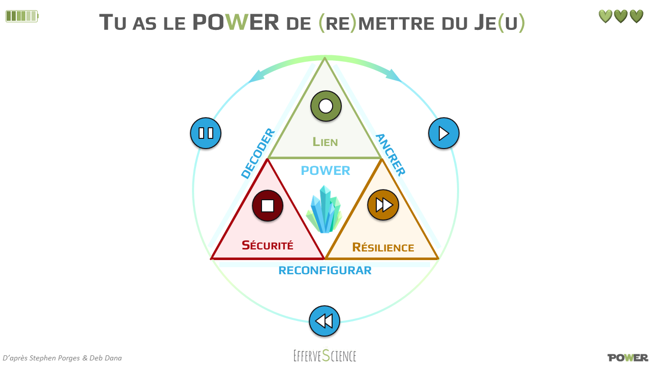 La Théorie PolyVagale illustrée | EfferveScience