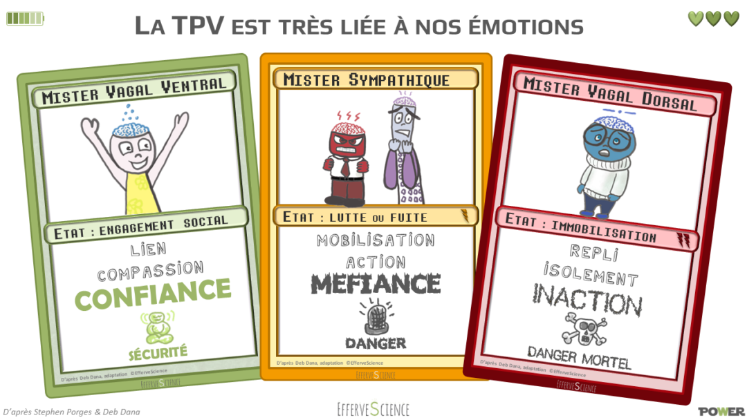 La Théorie PolyVagale illustrée | EfferveScience