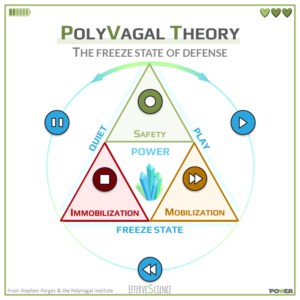 Applied PolyVagal Theory: The Felt Sense PolyVagal Model with Jan ...