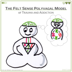 Applied PolyVagal Theory: The Felt Sense PolyVagal Model with Jan Winhall | EfferveScience