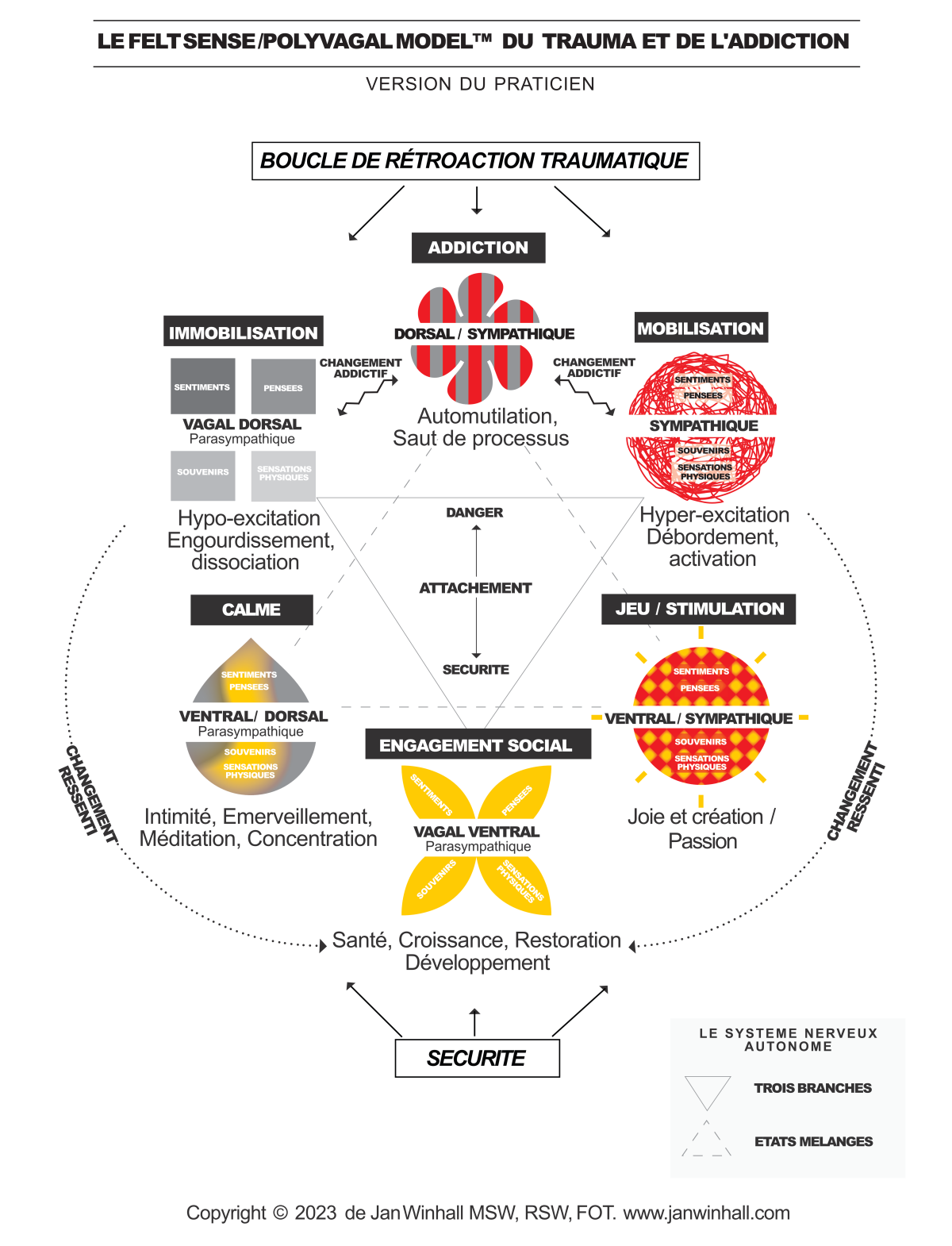 La TPV en pratique avec le "Felt Sense Polyvagal Model" de Jan Winhall ...