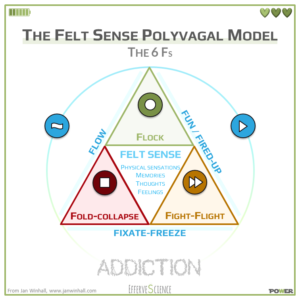 FeltSensePolyvagalModel-6Fs | EfferveScience