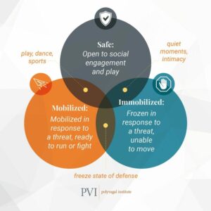 Applied PolyVagal Theory: The Felt Sense PolyVagal Model with Jan Winhall | EfferveScience