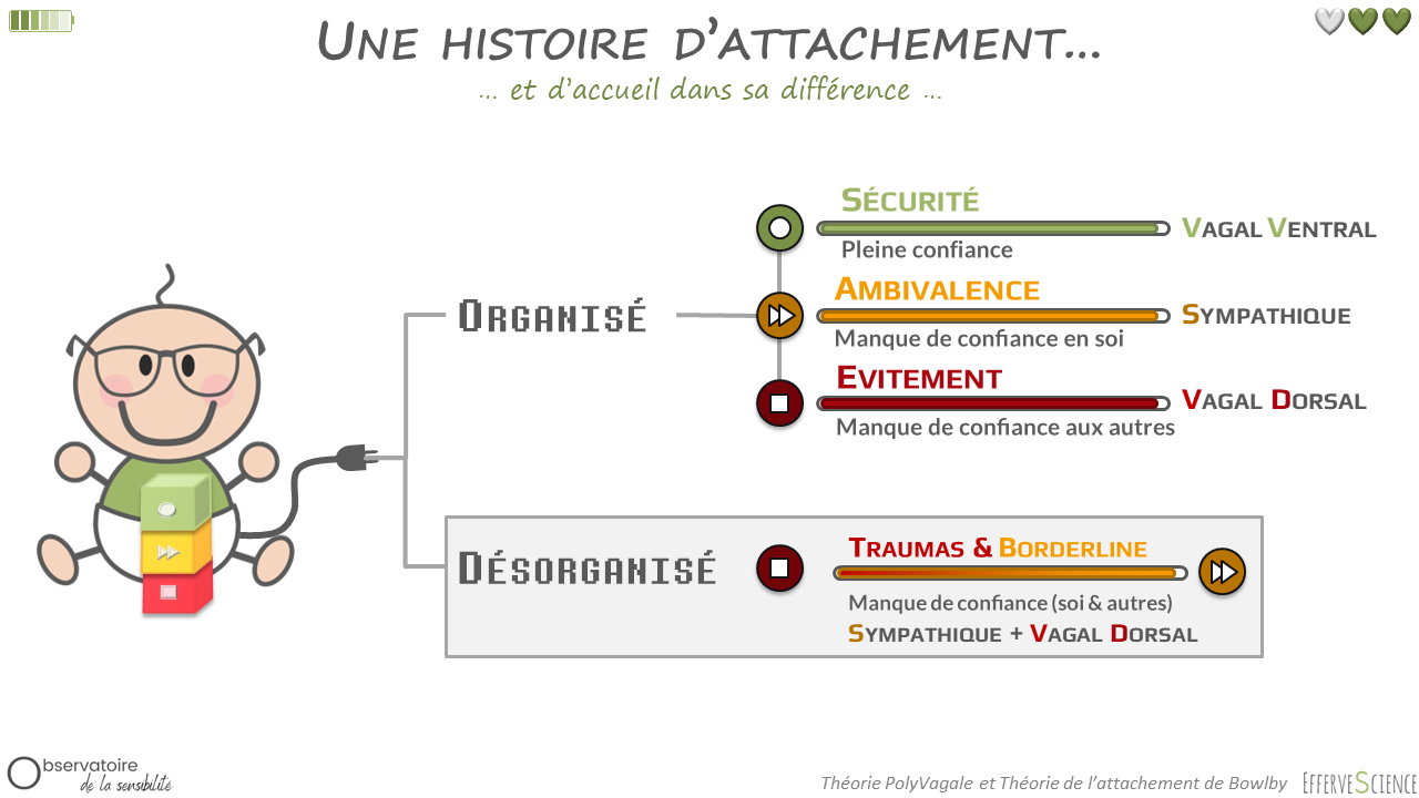 Neurodiversité : le continuum de la différence | EfferveScience
