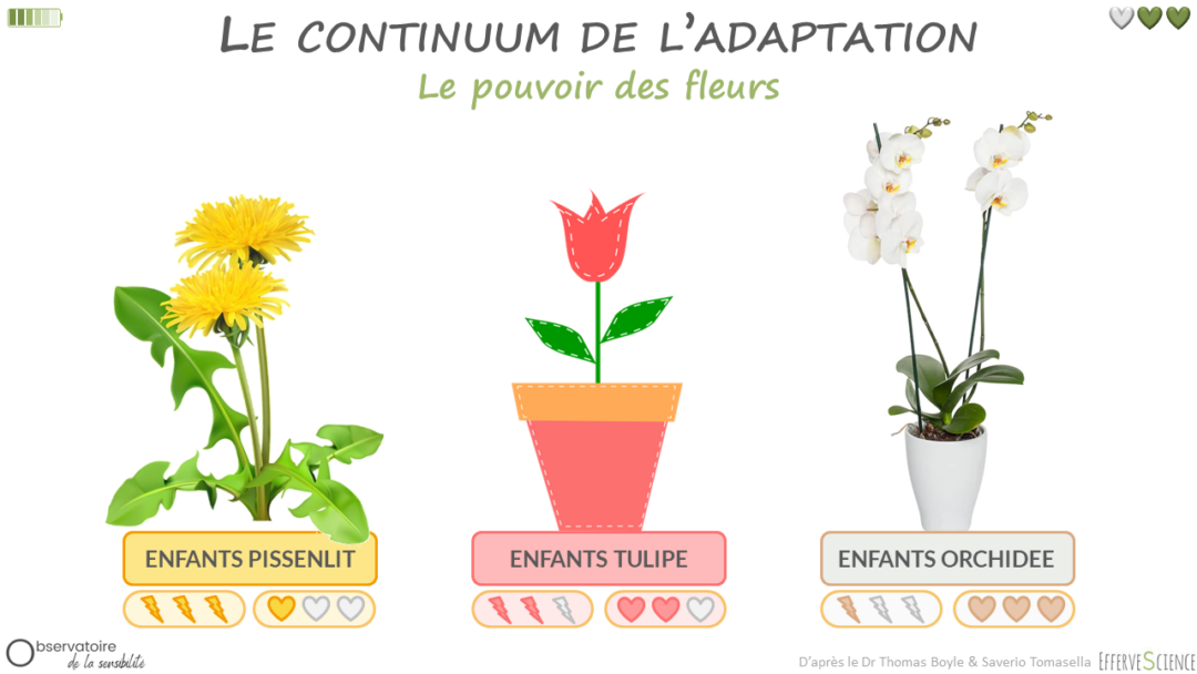 Neurodiversité : le continuum de la différence | EfferveScience