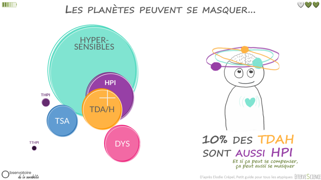 Neurodiversité : le continuum de la différence | EfferveScience