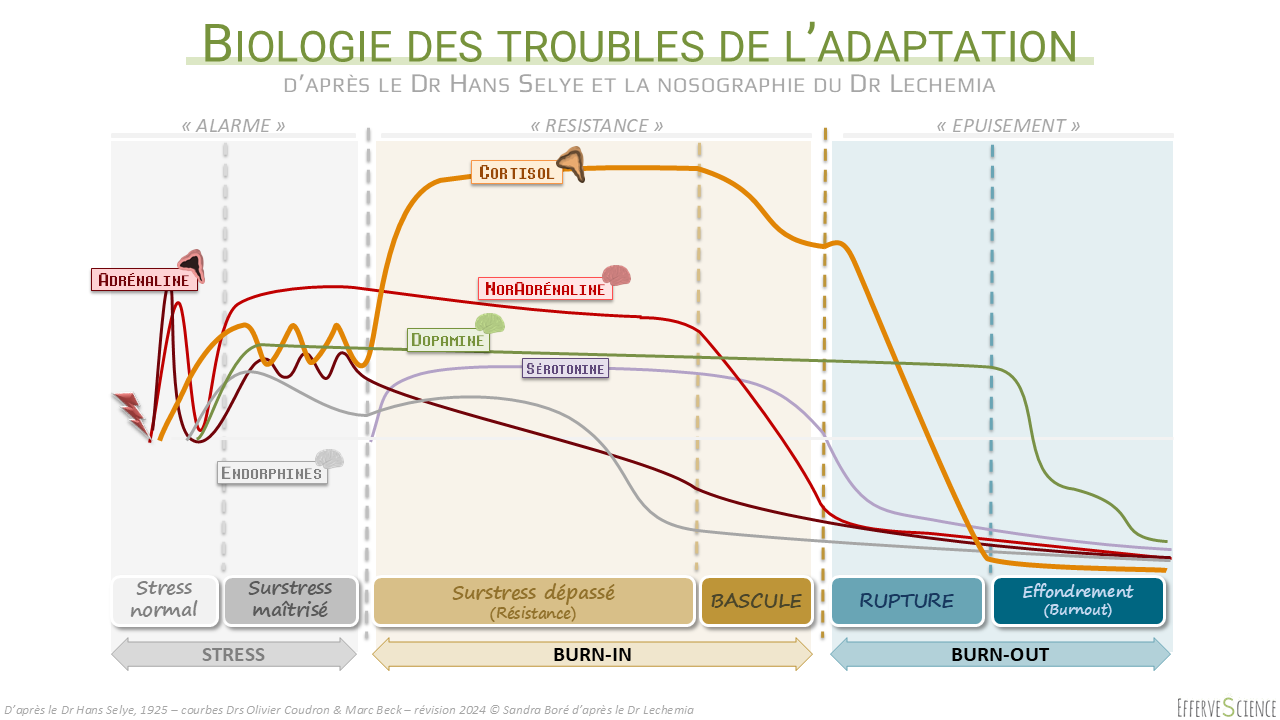 BiologieTroublesAdaptationActualiseeEfferveScience | EfferveScience